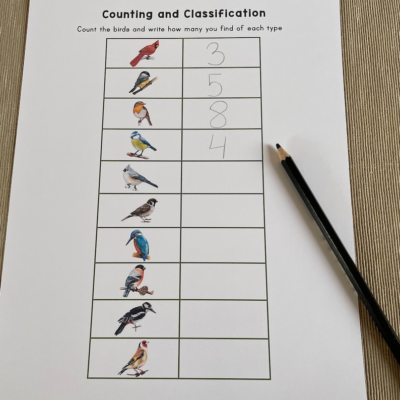 Birds Preschool Graphing. Spring Montessori Math Printable for ...