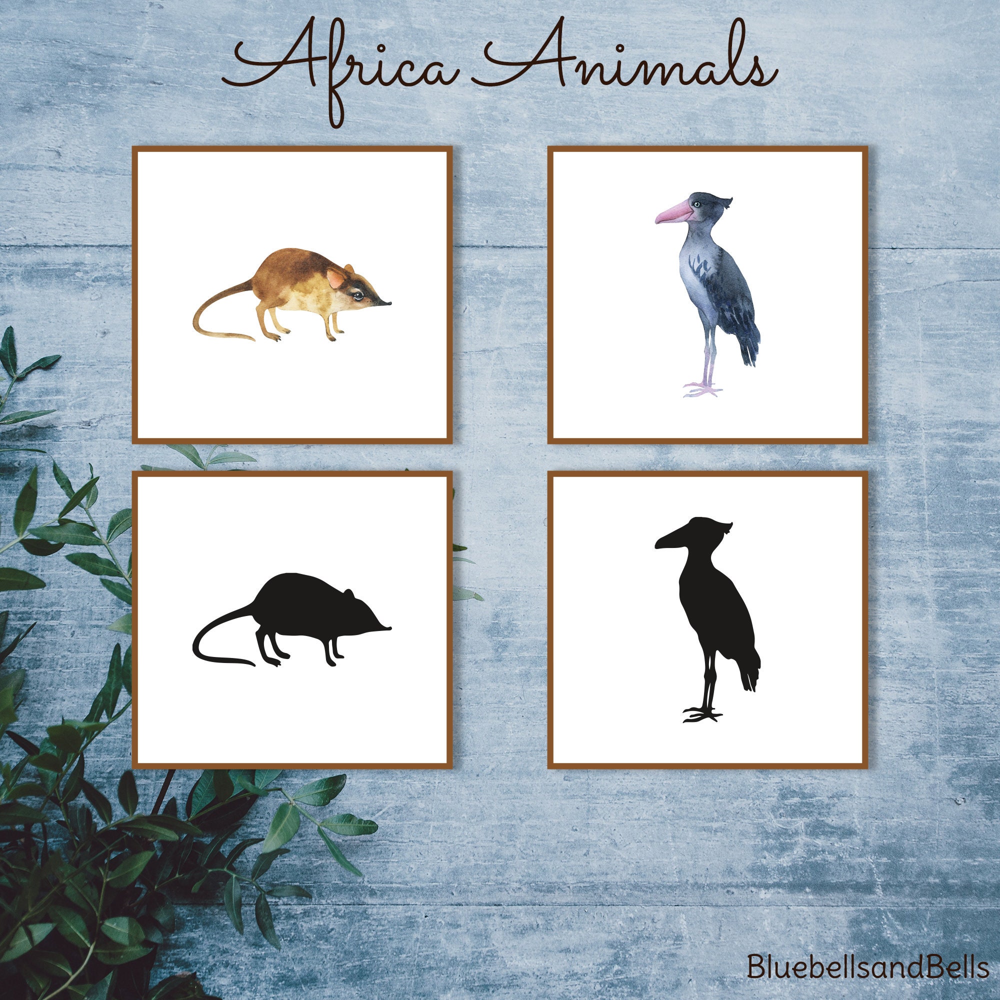Africa Animal Shadow Matching Cards. Montessori Toddler - Etsy Canada