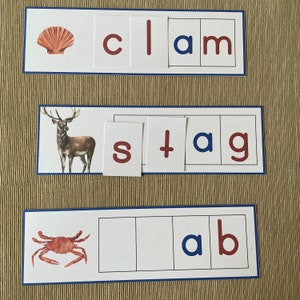 Montessori Printable Moveable Alphabet. CCVC Word Phonics Beginning ...