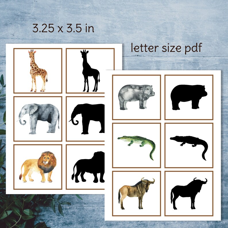 Africa Animal Shadow Matching Cards. Montessori Toddler - Etsy Canada