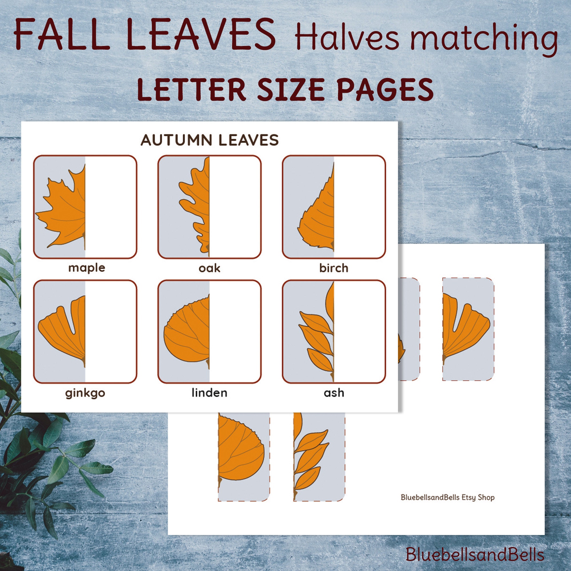 Montessori Puzzle Fall Leaves. Toddler Matching Halves Symmetry ...