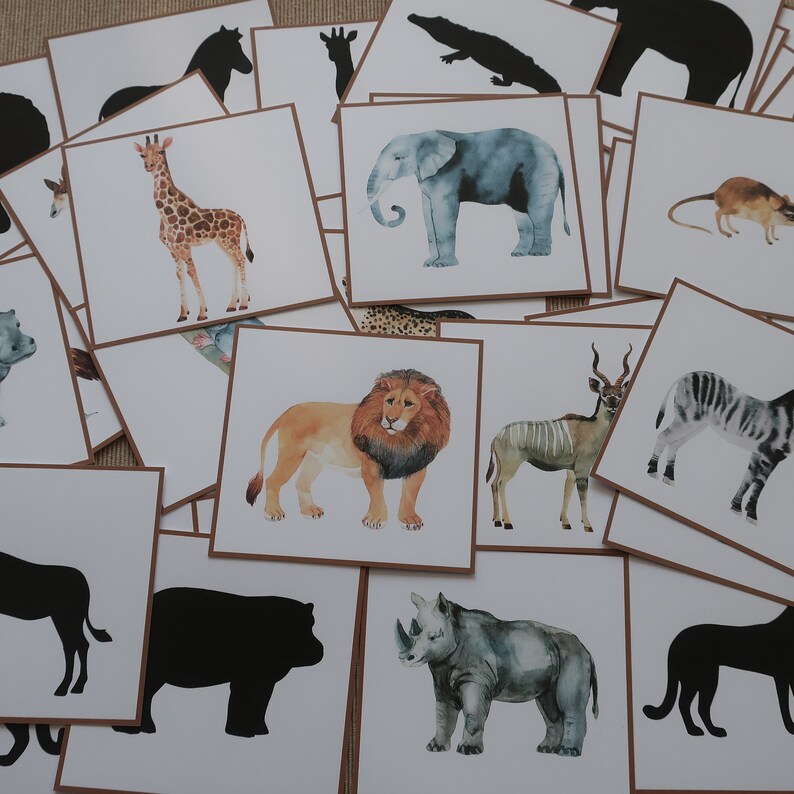Africa Animal Shadow Matching Cards. Montessori Toddler - Etsy Canada