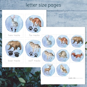 Winter Woodland Animal Tracks Flashcards. Montessori Winter Printable ...