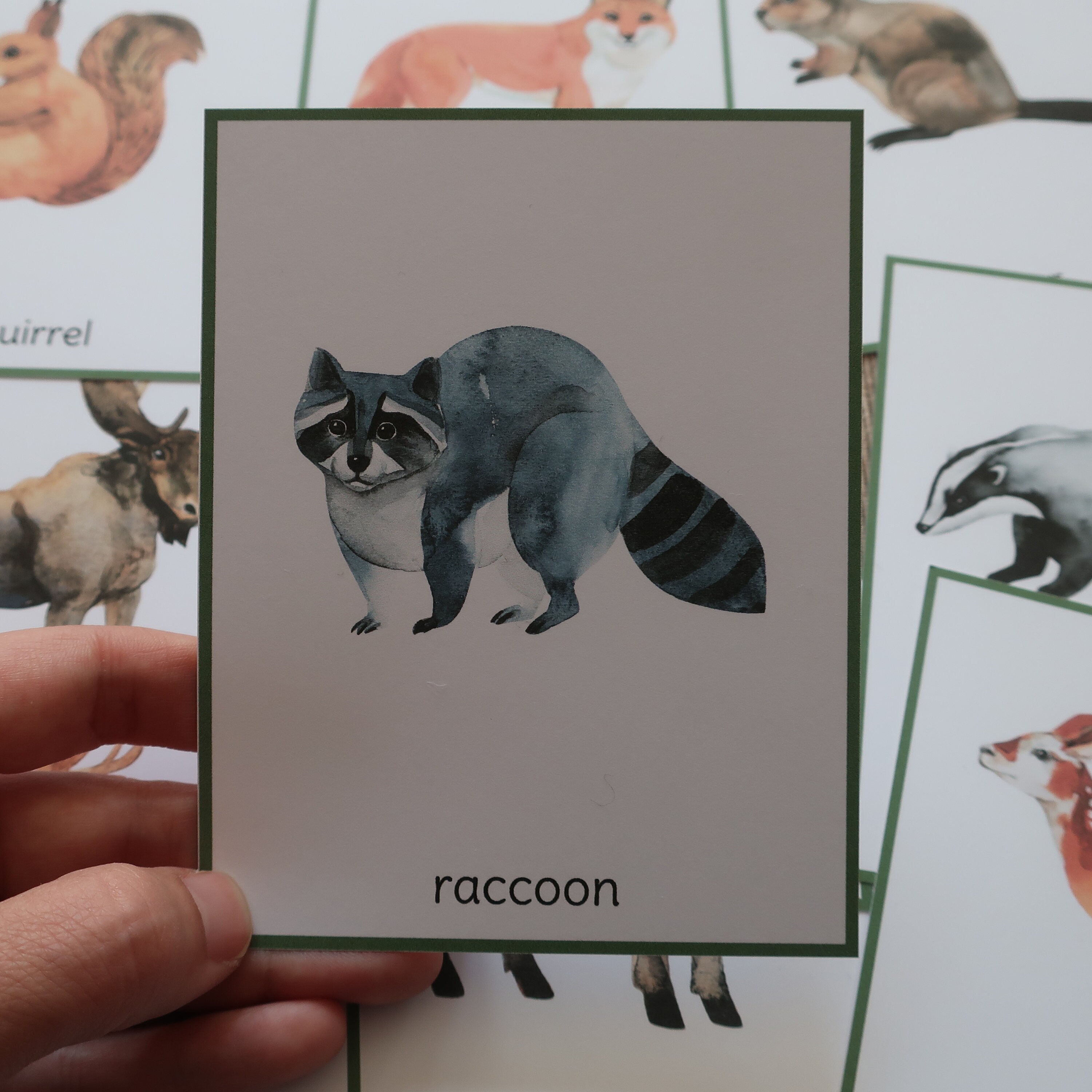 Woodland Animal Flash Cards. Toddler Printable Watercolor - Etsy