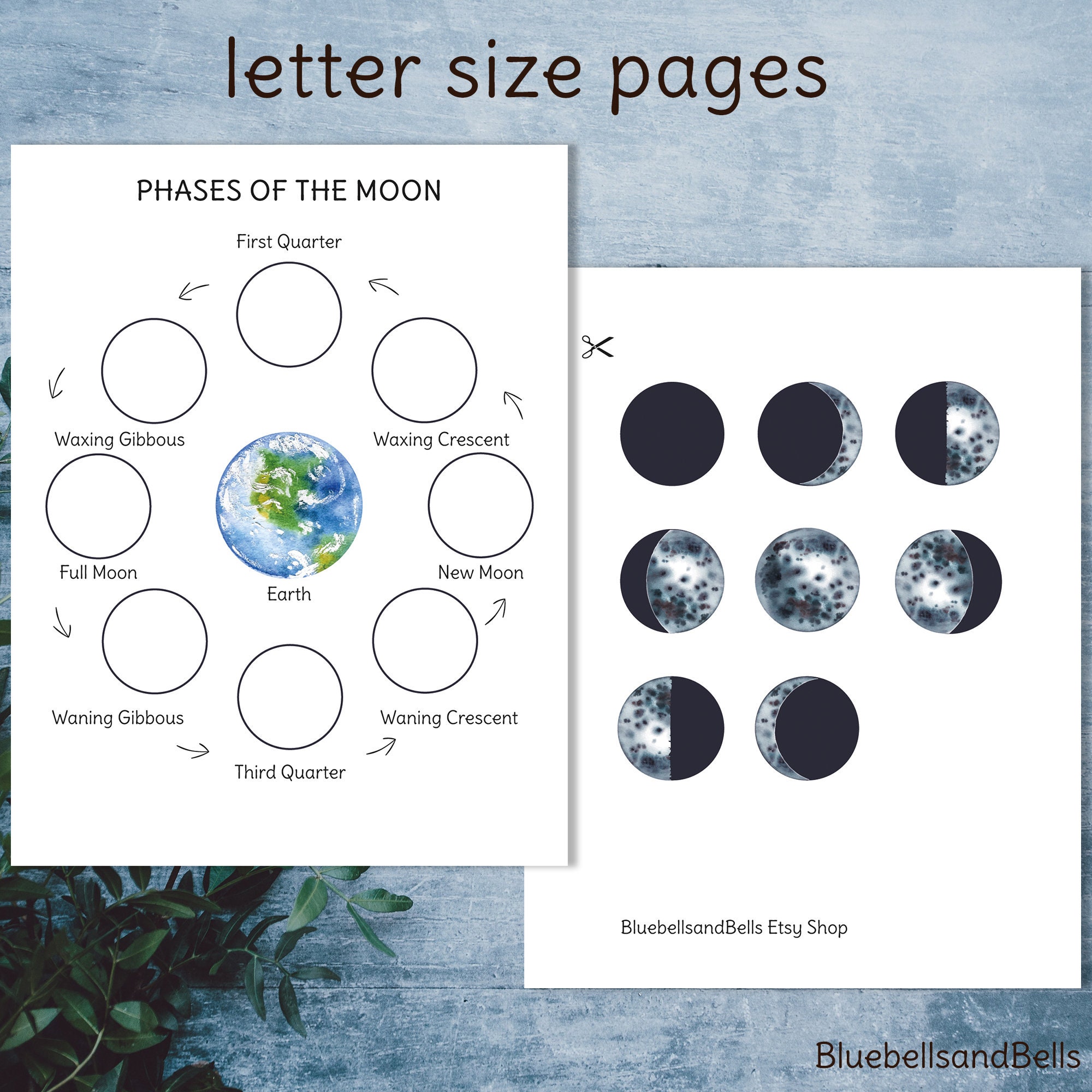 Phases of the Moon Printable Poster, Matching Activity and Flashcards ...