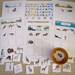 Animal Habitats Sorting Activity and Chart. Montessori Preschool and ...