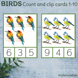 Birds Count and Clip Cards 1-10. Spring Montessori Printable. Preschool ...