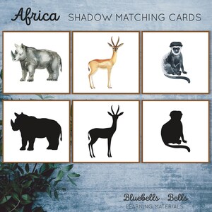 Africa Animal Shadow Matching Cards. Montessori Toddler Printable ...