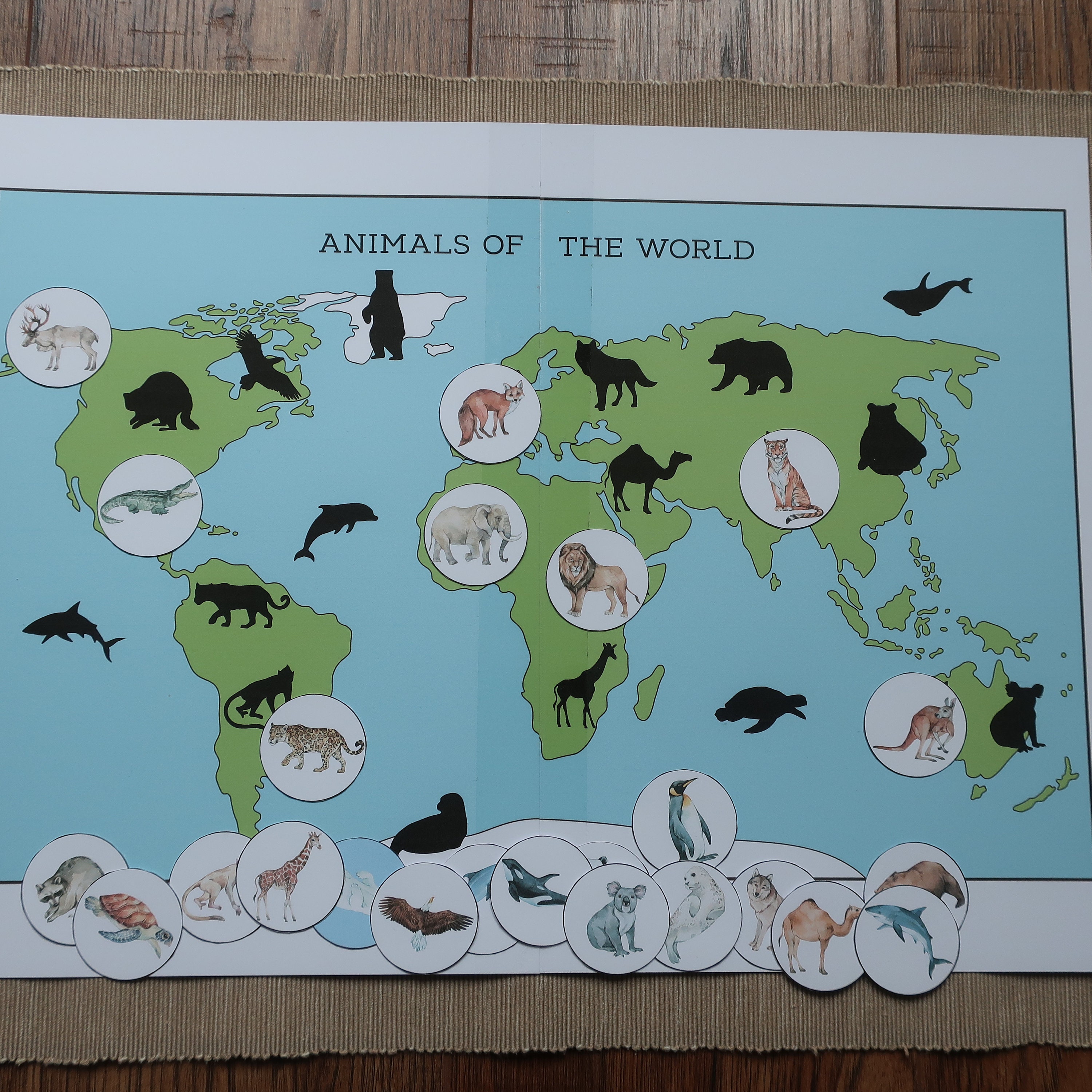 Animals of the Continents Shadow Matching Activity. Montessori | Etsy
