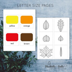 Color Sorting Fall Leaves Activity for Preschool. Shape Sorting ...