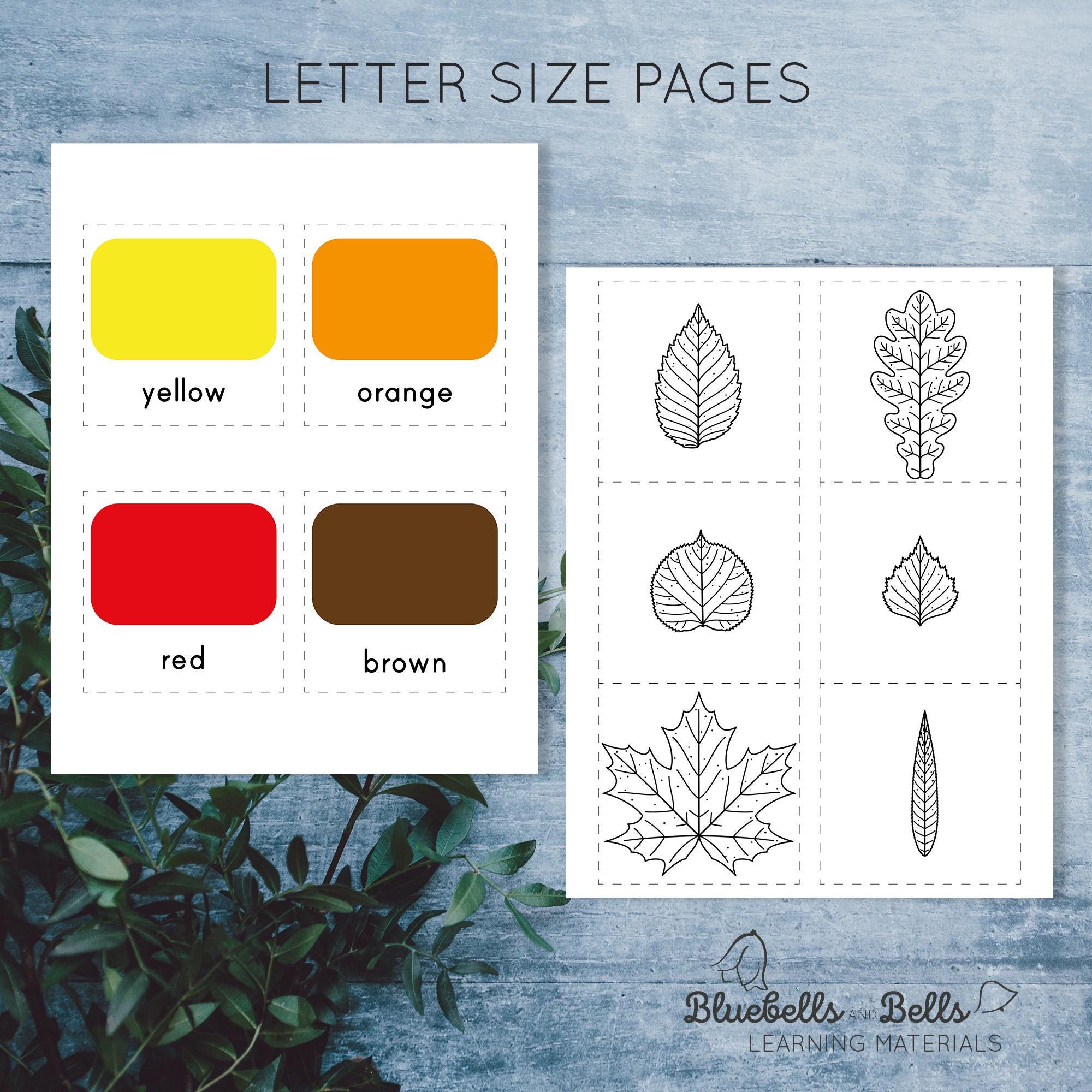 Color Sorting Fall Leaves Activity for Preschool. Shape Sorting ...