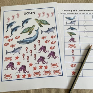 Montessori Ocean Printable Graphing Preschool Activity. Kindergarten ...