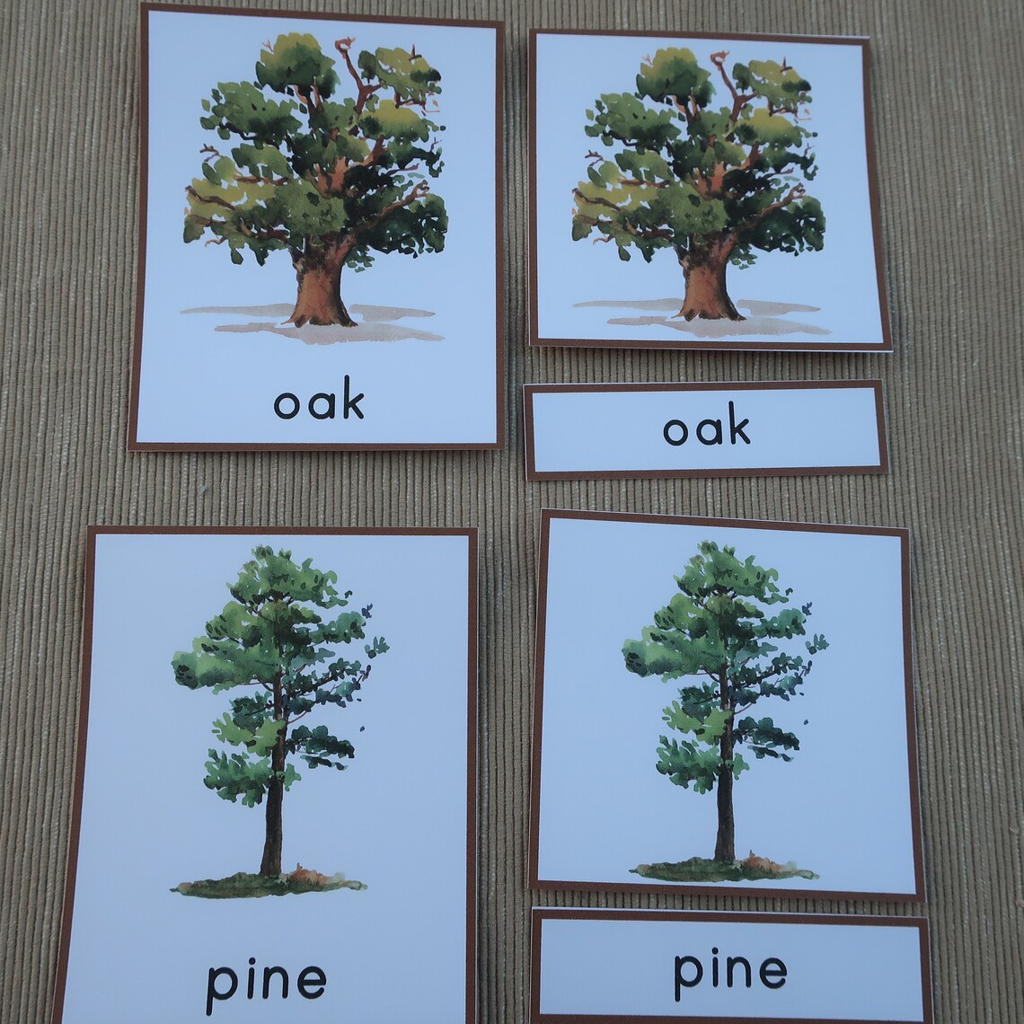 Trees Montessori 3 Part Cards. Tree Identification Cards. - Etsy