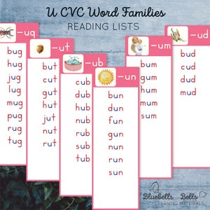 CVC Word Families Reading Lists. Montessori Pink Series Printable. - Etsy