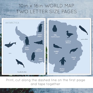 Antarctica Animals Map Matching Activity. Montessori Winter Preschool ...