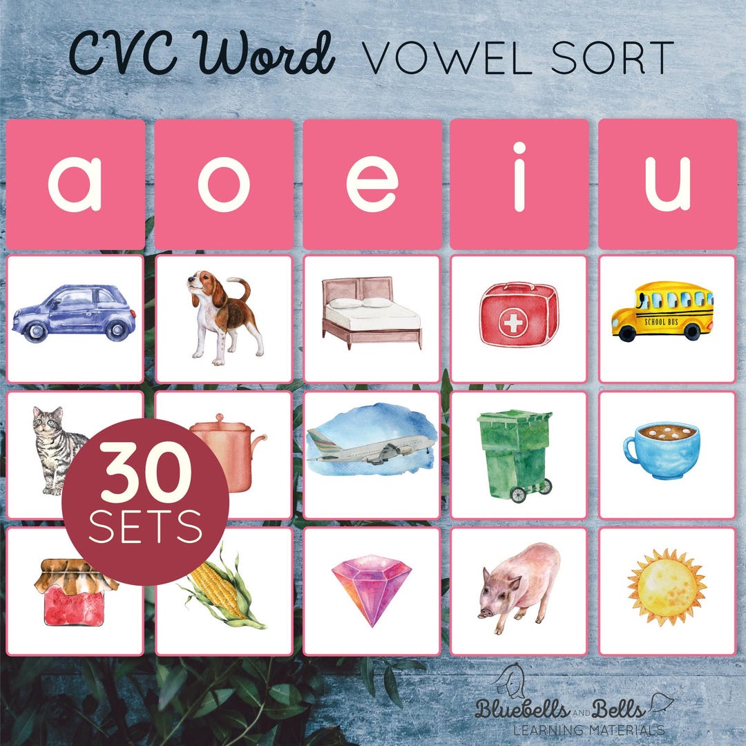 CVC Word Sort Vowel. CVC Word Printable Chart With Pictures. - Etsy