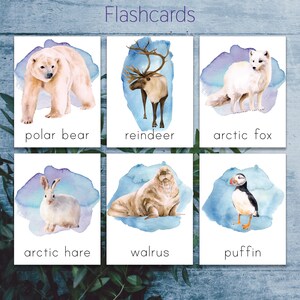 Arctic Animals Montessori Printable. North Pole Animals Toddler ...