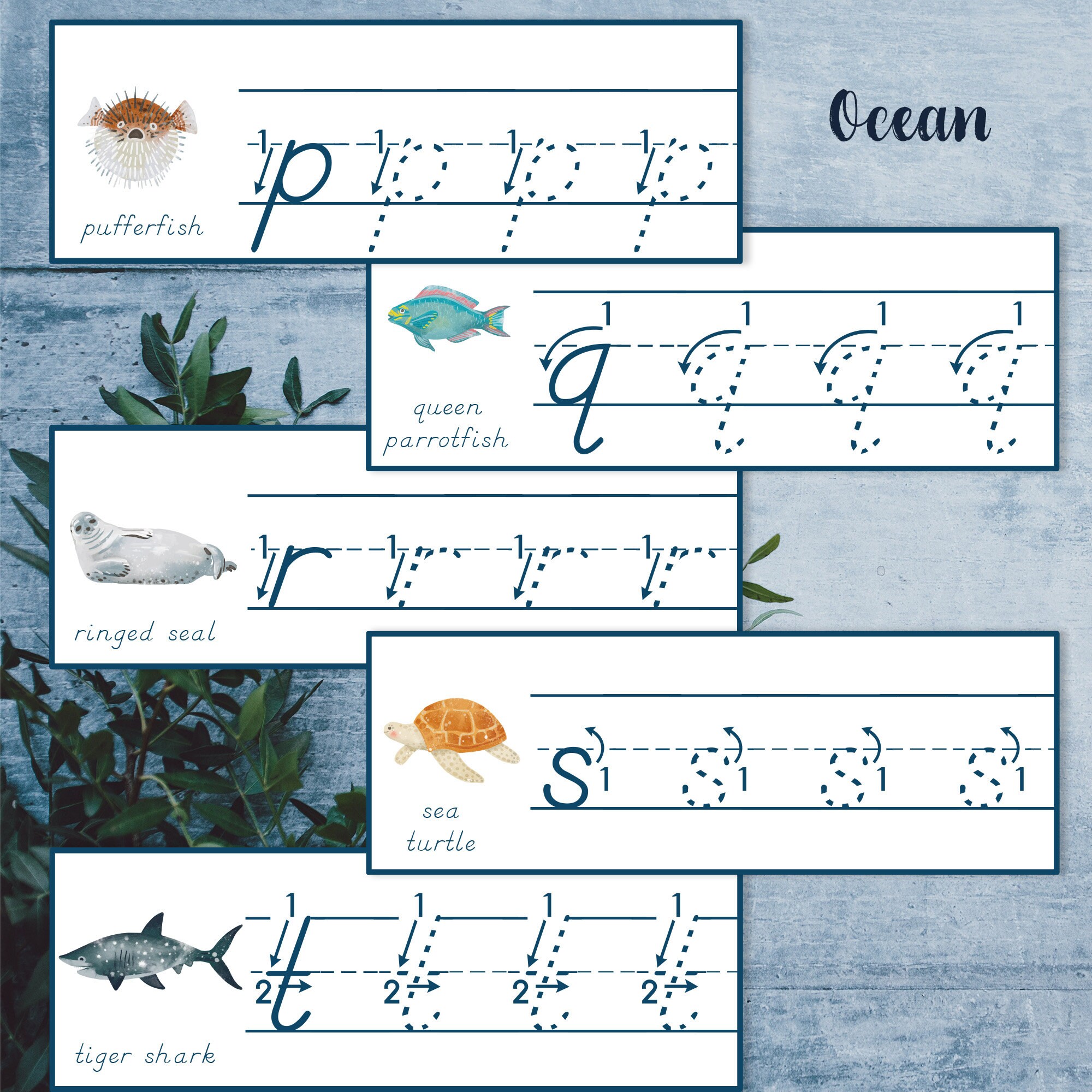 Ocean Alphabet Cards Tracing. Lowercase Manuscript Letter Handwriting ...