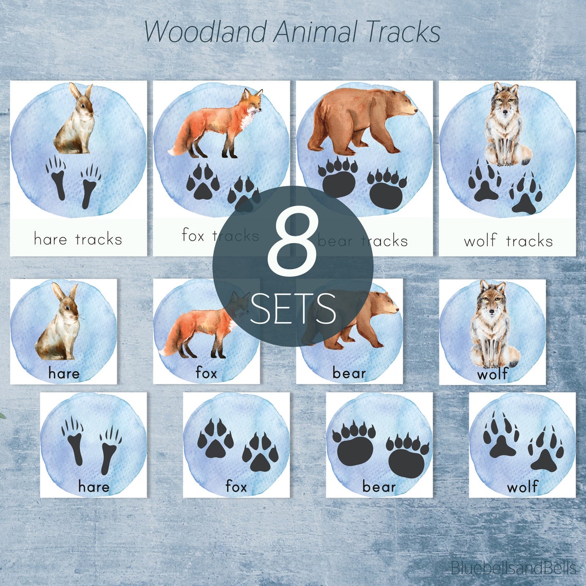 Winter Woodland Animal Tracks Flashcards. Montessori Winter - Etsy UK