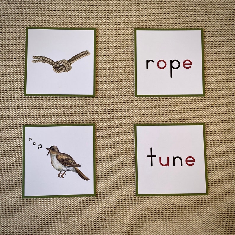 Silent E Montessori Green Series Picture Word Matching Activity. - Etsy