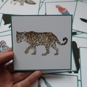 Rainforest Animals Shadow Matching Cards. Montessori Animal Printable ...