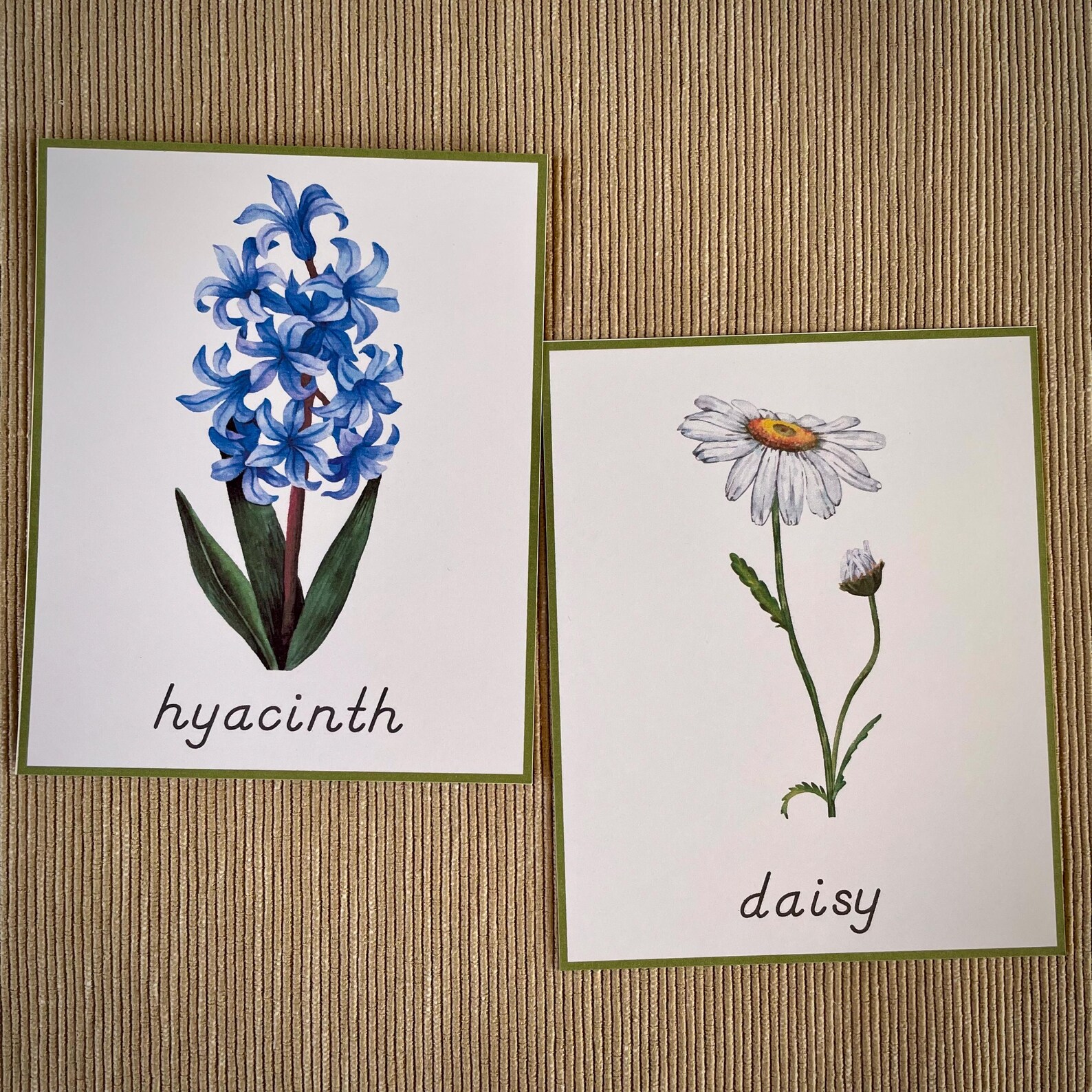 Flower Identification Printable Cards. Montessori Spring Printable ...