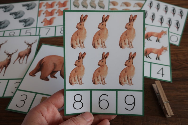 Woodland Animals Count and Clip Cards 1-10. Montessori - Etsy