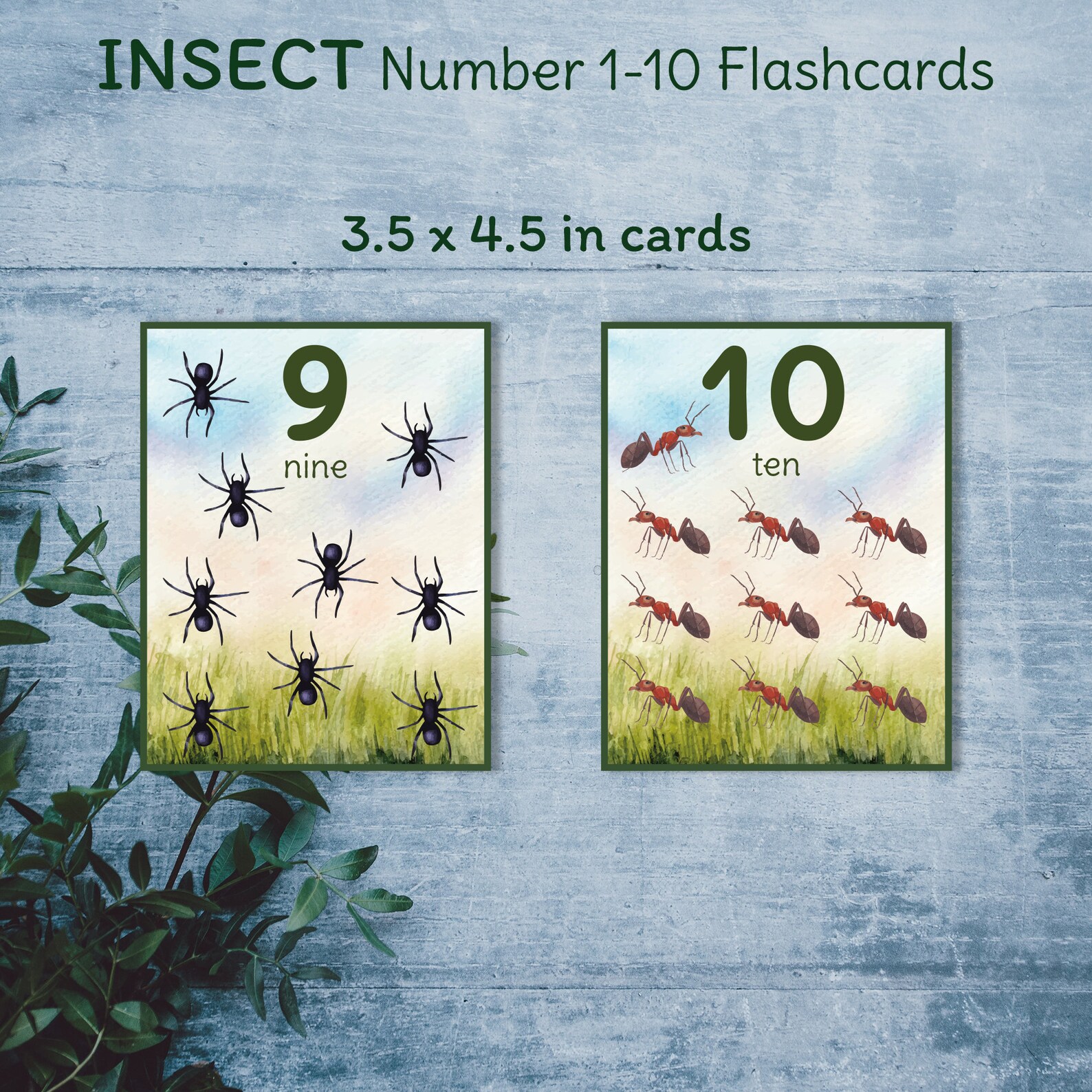 Insect Preschool Printable Number 1-10 Flashcards. Toddler | Etsy