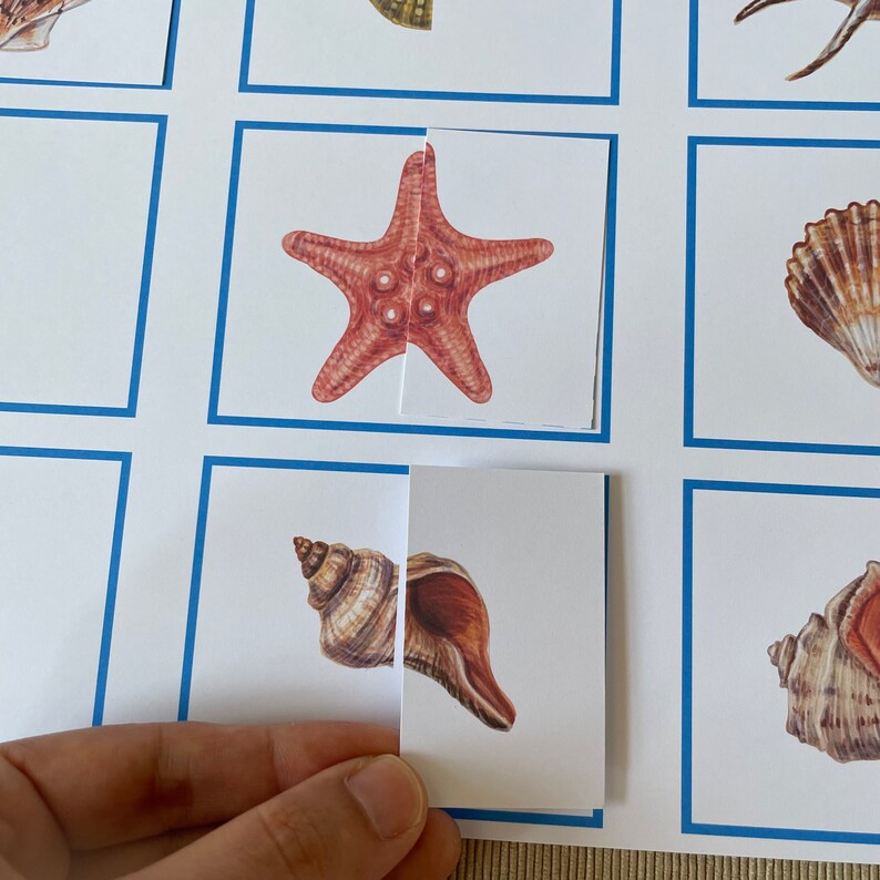 Toddler Summer Puzzle Seashells Halves Matching. Montessori Busy Book ...