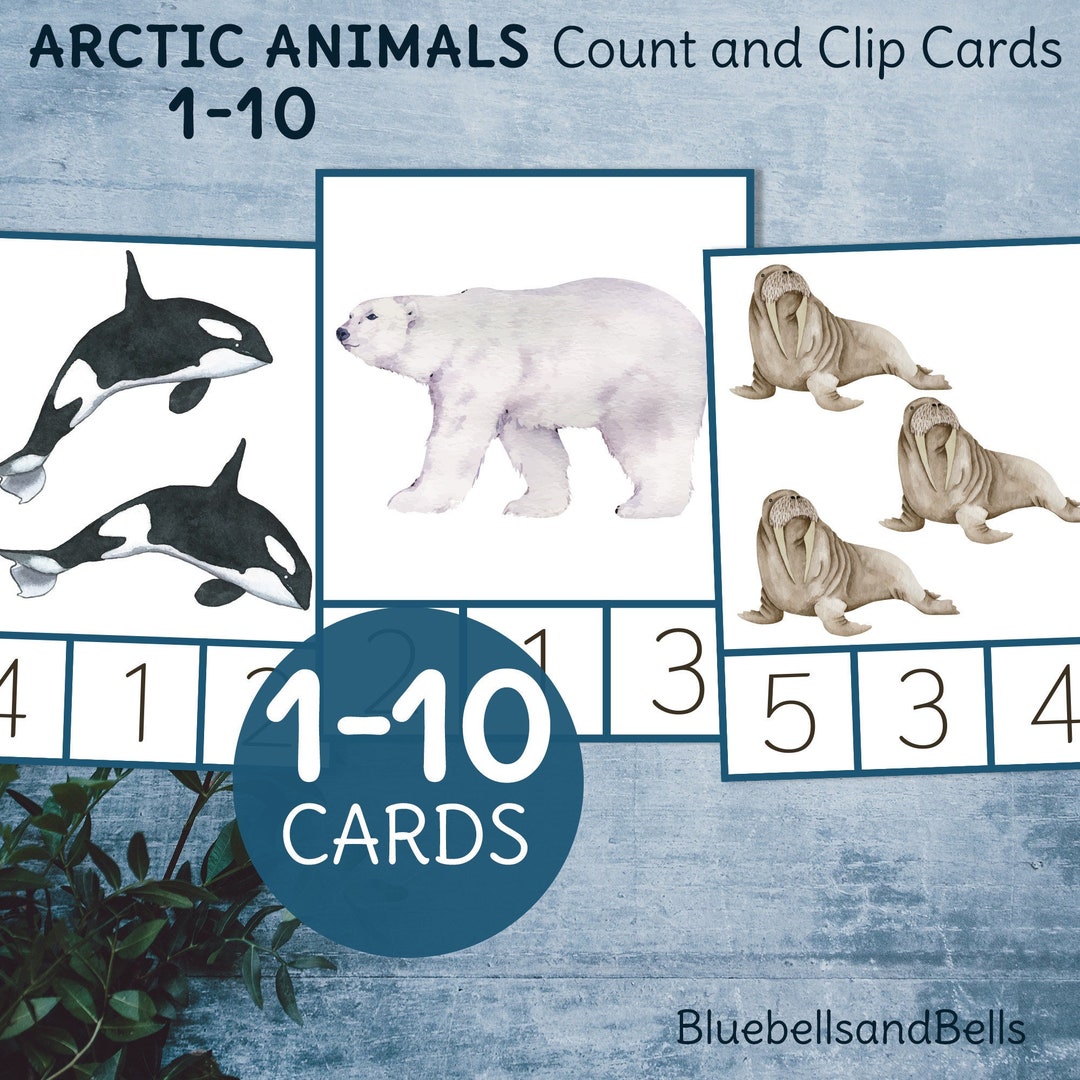 Arctic Animals Count and Clip Cards 1-10. Winter Preschool Math ...