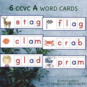 Montessori Printable Moveable Alphabet and CCVC Word Letter Matching ...