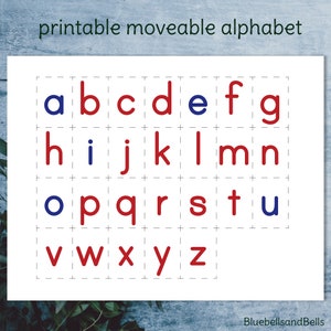 Montessori Printable Moveable Alphabet and CCVC Word Letter Matching ...