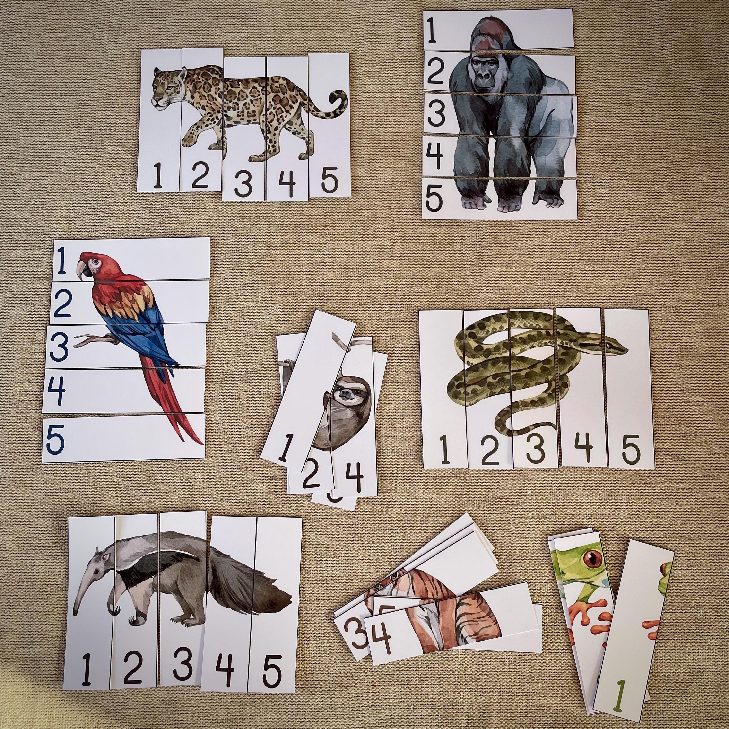 Rainforest Animals Puzzle Numbers 1-5. Toddler Printable Matching ...