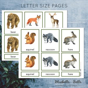 Woodland Animals Montessori 3 Part Cards. Preschool Vocabulary Activity ...