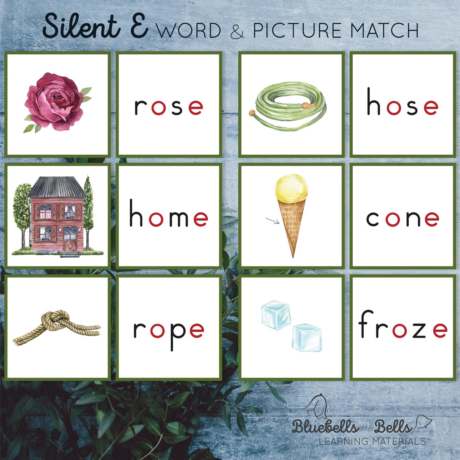 Silent E Montessori Green Series Picture Word Matching Activity. - Etsy