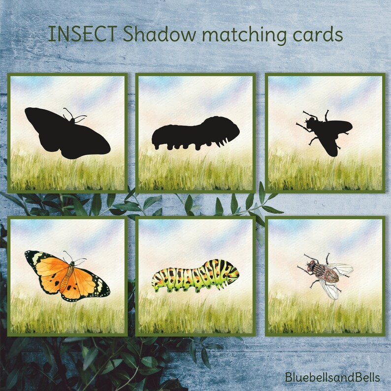 Insect Shadow Matching Cards. Montessori Pre-reading Printable | Etsy