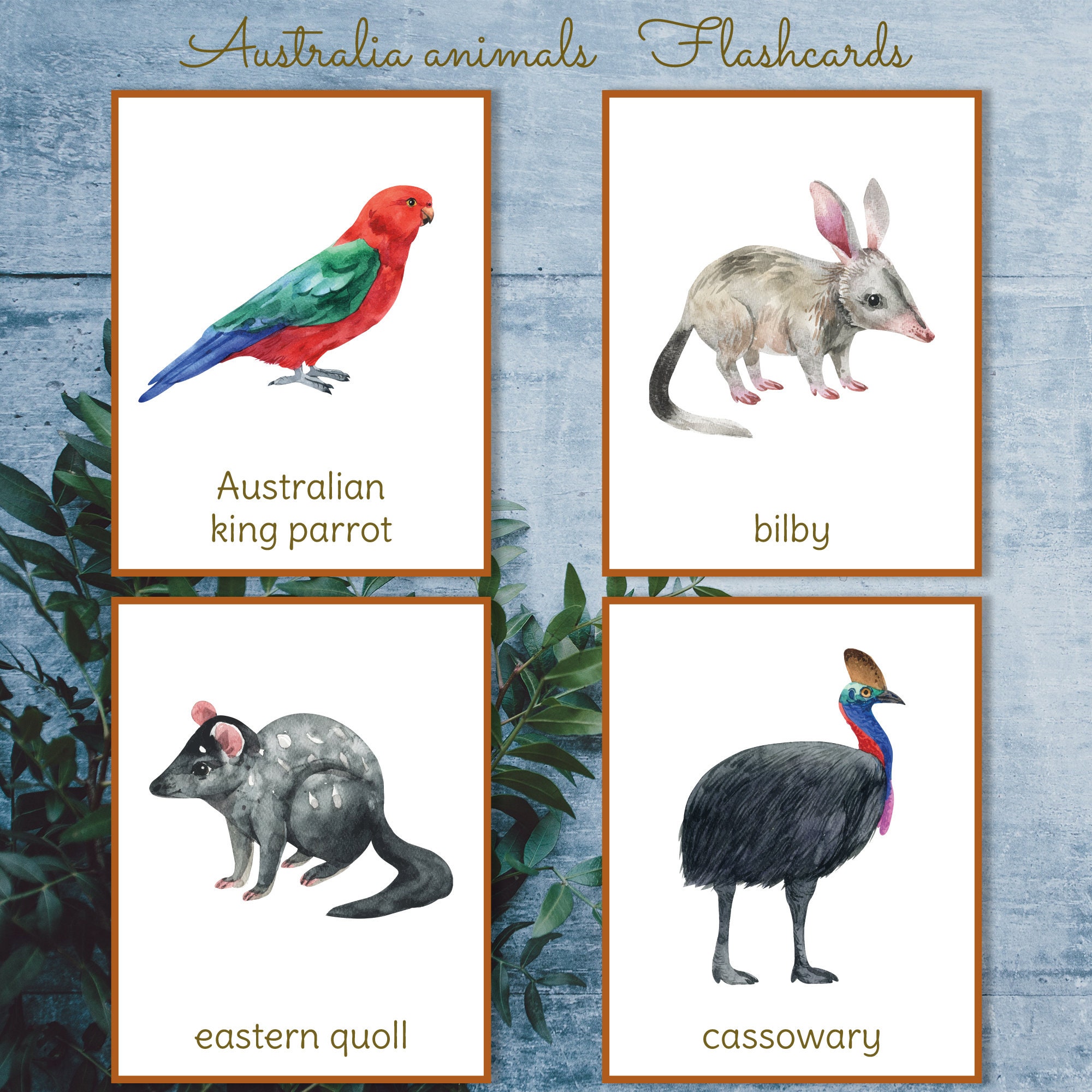 Australia Animal Flashcards and Shadow Matching Cards. | Etsy