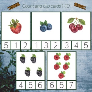 Berries Count and Clip Cards 1-10. Montessori Summer Printable ...
