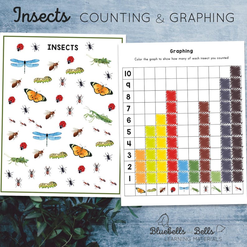 Insects Preschool Printable Graphing. Kindergarten Math Activity. - Etsy