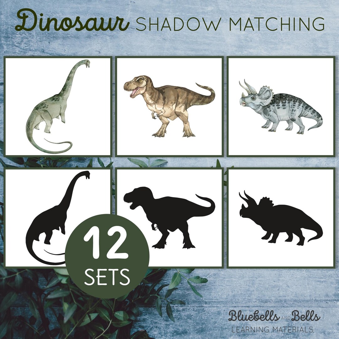 Montessori Printable Dinosaur Shadow Matching Cards. Toddler Matching ...