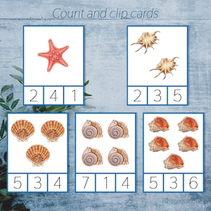 Seashell Count and Clip Cards 1-10. Montessori Ocean Printable ...
