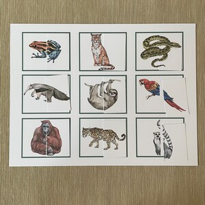 Rainforest Animals Puzzle Halves Matching. Montessori Toddler Printable ...