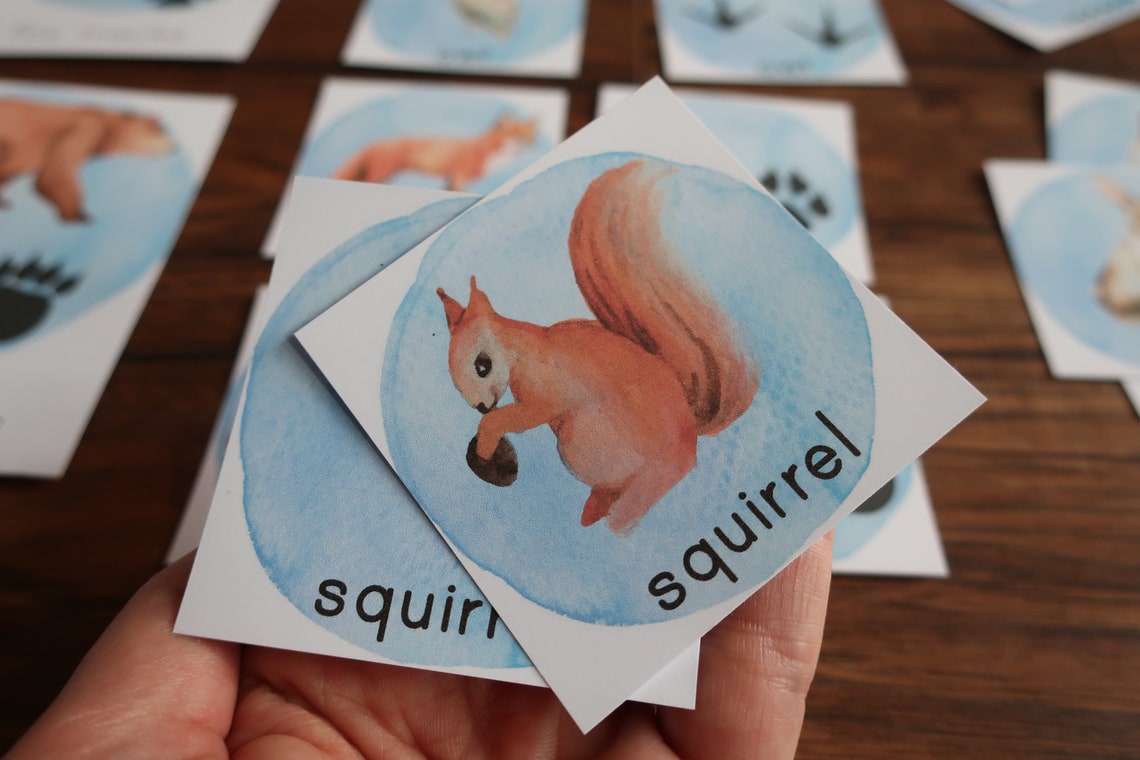 Winter Woodland Animal Tracks Flashcards. Montessori Winter - Etsy