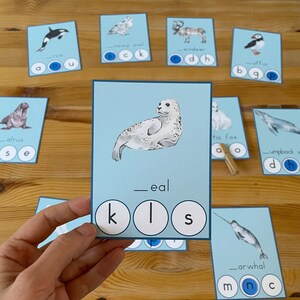 Arctic Animals Preschool Printable Beginning Sound Clip Cards. - Etsy