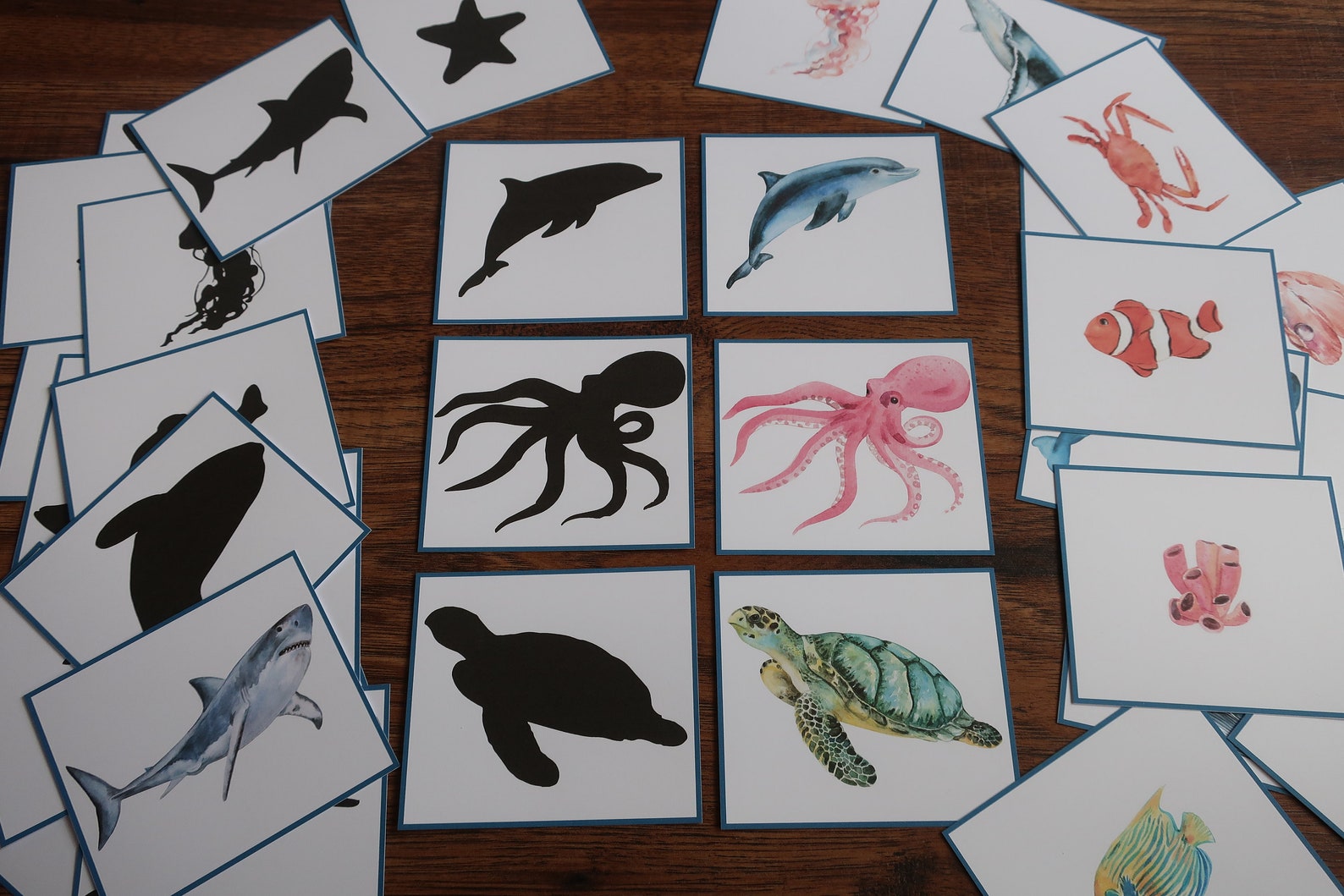 Ocean Animal Shadow Matching Cards. Montessori Summer - Etsy Canada