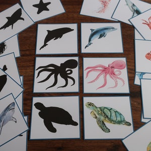 Ocean Animal Shadow Matching Cards. Montessori Summer Preschool ...