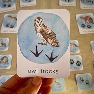 Winter Woodland Animal Tracks Flashcards. Montessori Winter Printable ...