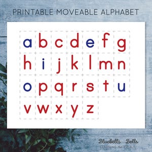 Montessori Printable Moveable Alphabet. CVC Word Phonics Matching Cards ...