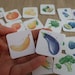 Color Matching Printable Fruits and Veggies. Toddler Sorting Activity ...