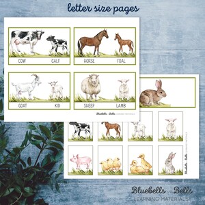 Mother and Baby Farm Animal Matching Cards and Flash Cards. Montessori ...